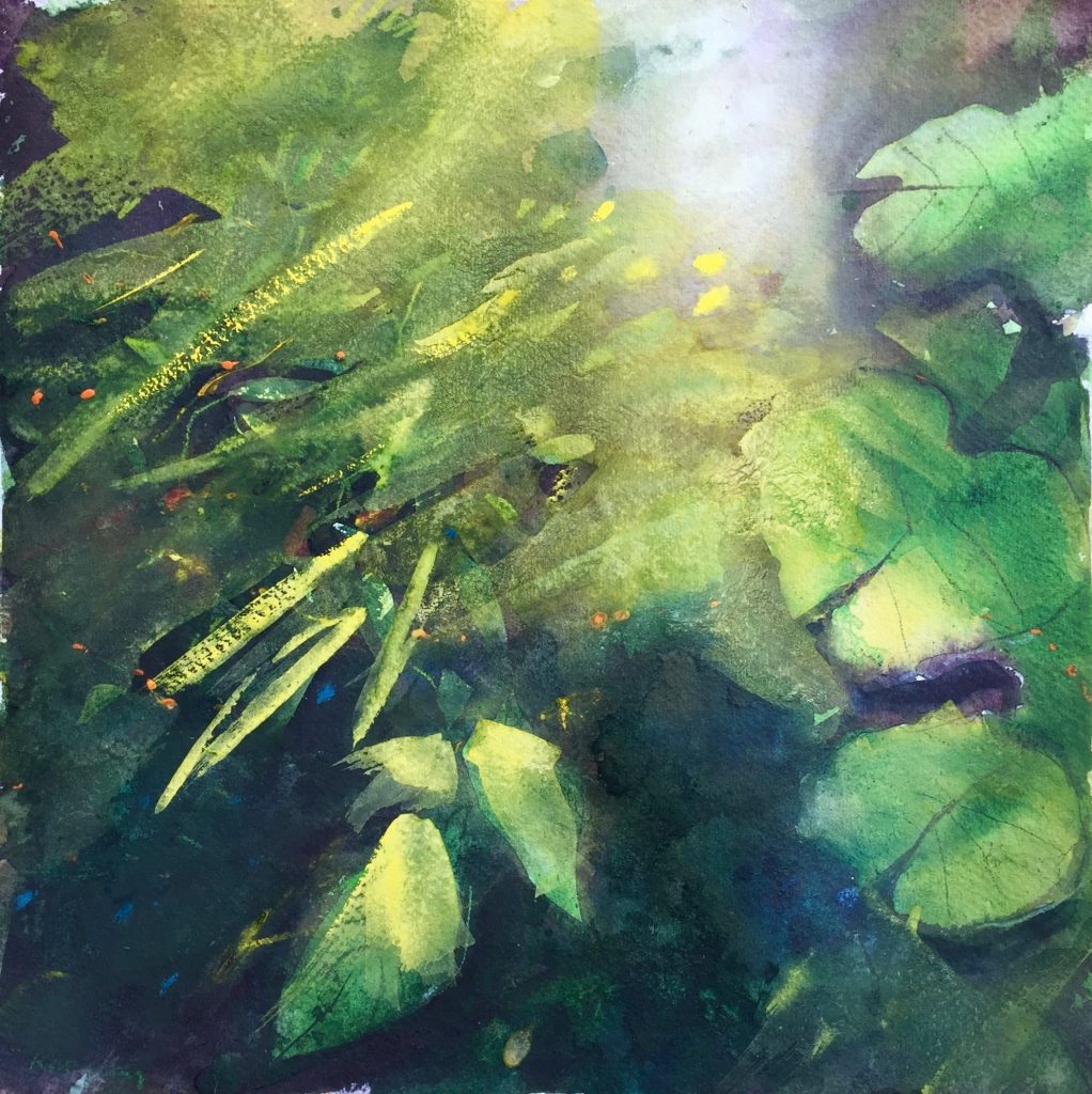 Rod Craig – Kingfisher Art