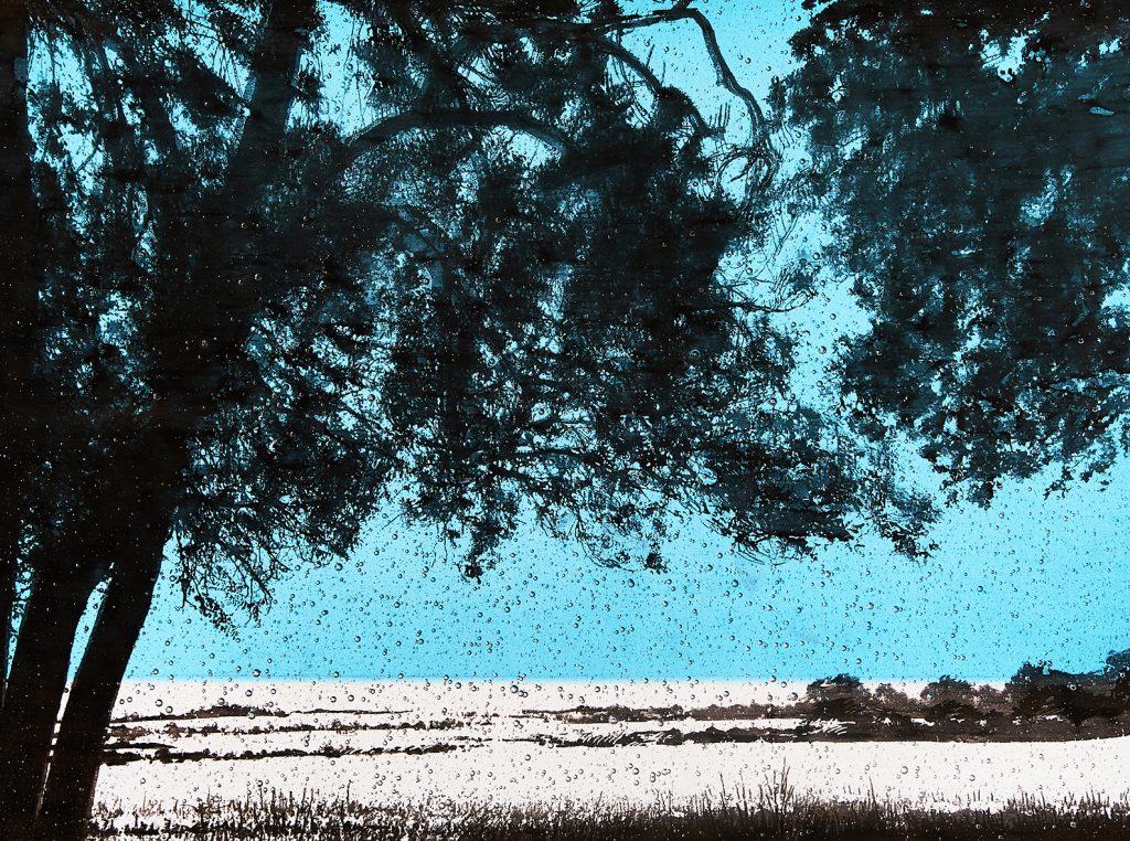 Field View – Kingfisher Art